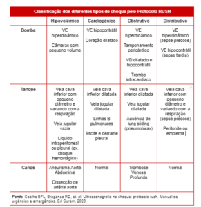 Saiba tudo sobre o protocolo RUSH para avaliação do choque! - Blog de ...